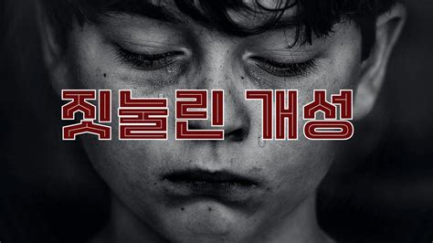 내가 진정 원하는 삶 Youtube