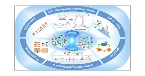 Biobased Polyester Network From 2 5 Furandicarboxylic Acid And 5 5′ Dodecylazanediyl Bis