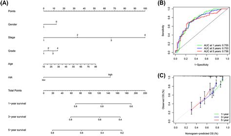 Construction Of The Nomogram A A Nomogram Consisted Of Age Stage Download Scientific