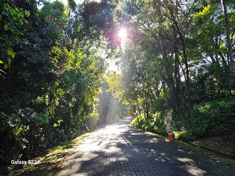 Galaxyai Samsung Members