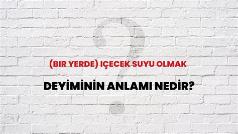 bir yerde içecek suyu olmak Deyiminin Anlamı Nedir Habertürk