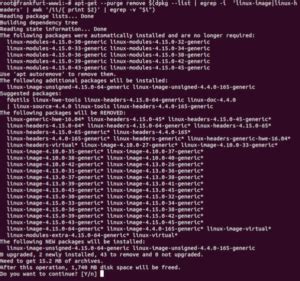 Ubuntu Remove All Unused Old Kernels NixCraft