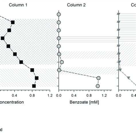 Schematic Representation Of Selected Depths For Statistical Analysis Download Scientific