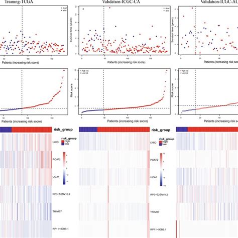 6 Genes Hypoxia Status Related Signature Evaluation And Validation A Download Scientific
