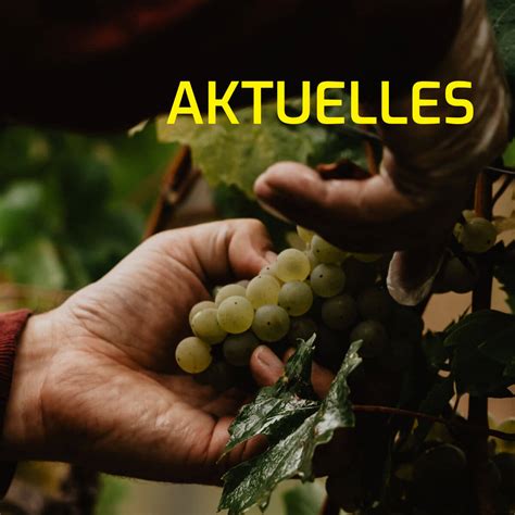 3 Weinmacher Wein Von 3 Im Barockschloss In Franken