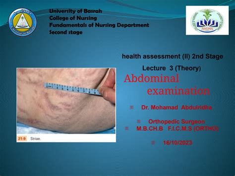 Abdominal Examination Pptx The Abdomen D Pptx