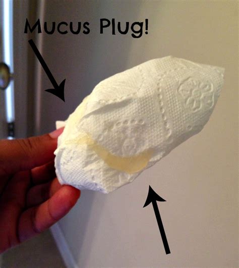 Mucus Plug In Pregnancy Third Trimester