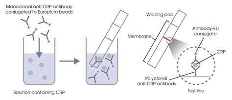 Fluorescent Detection In Lateral Flow Abcam