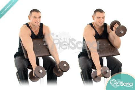 Alternate Dumbbell Hammer Preacher Curl