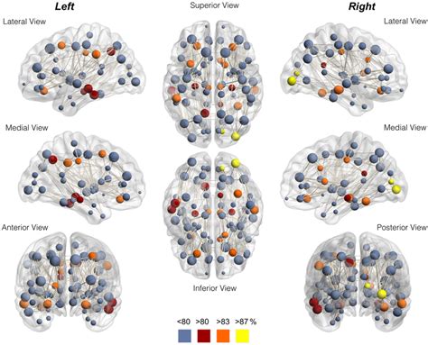 Anatomical Distribution Of Nodes Color Coded For Node Wise Percentage Download Scientific