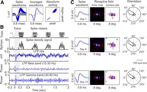 Response Properties Of Local Field Potentials And Neighboring Single Neurons In Awake Primary