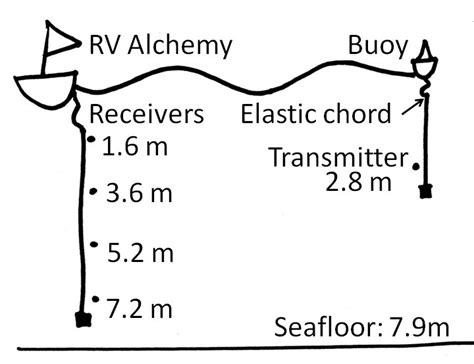 Experimental Configuration Download Scientific Diagram