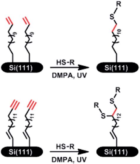 Radical Thiol Ene And Thiol Yne Chemistries As Efficient Routes For The Download Scientific