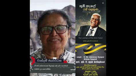 කූඹී කැලේ රන් සලකුණ I චාන්දනී ජයවර්ධන Youtube