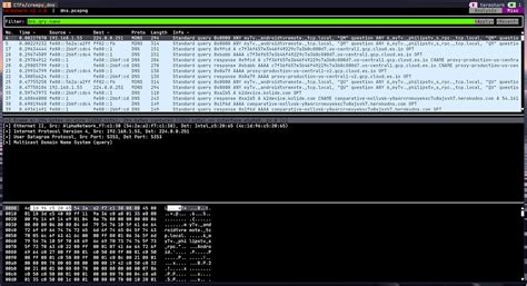 Ctf Write Up Decoding Hidden Exfiltration Via Dns Queries Creepy Dns By Amir Husayn