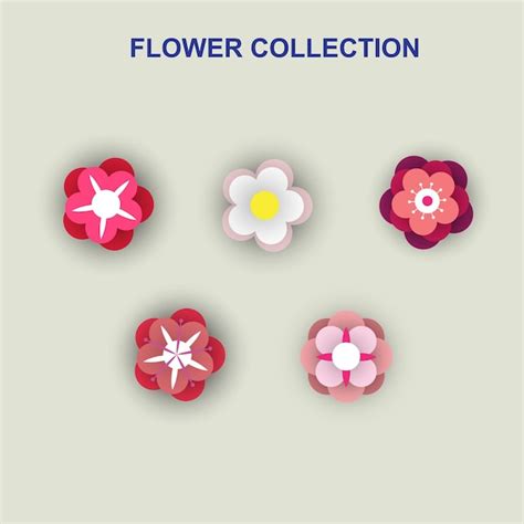Premium Vector Flower Vector Pack Collection V1