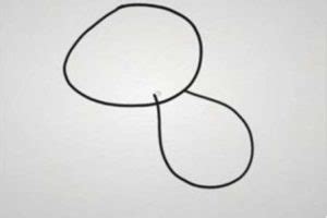 How To Draw A Squirrel For Beginners And Realistic