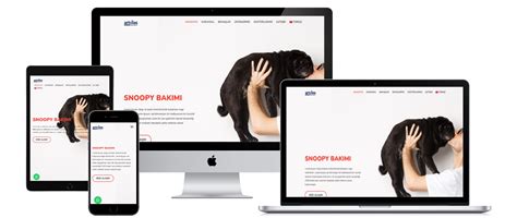 Veteriner V1 Php Script Tema Msiyazilim Mercuryweb Script Satış Teması