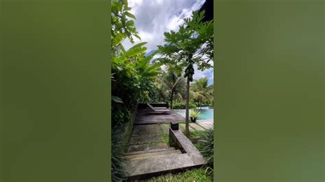 [풍경] 인도네시아 발리의 풀빌라 🏝️ Youtube