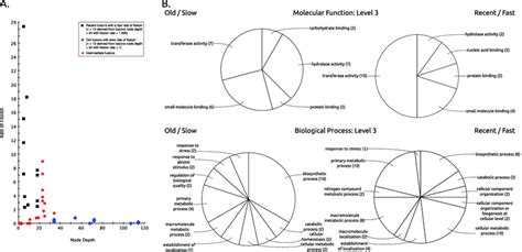 Fig S4 A Chart Showing The Relationship Between Node Depth And The Download Scientific
