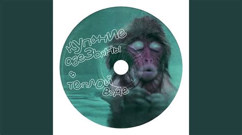 Член семьи Youtube