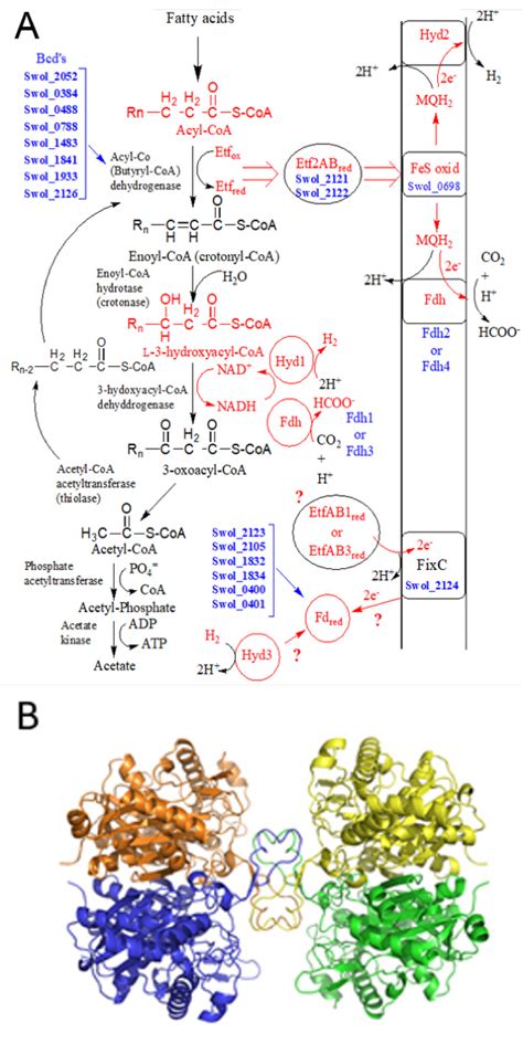Microbes Ucla Doe Institute