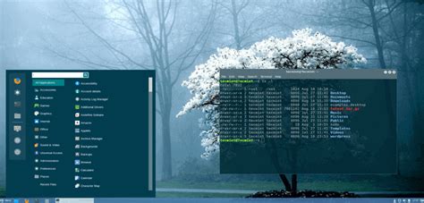How To Install Cinnamon Desktop On Ubuntu