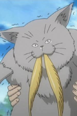 Fat Cat Anime Planet