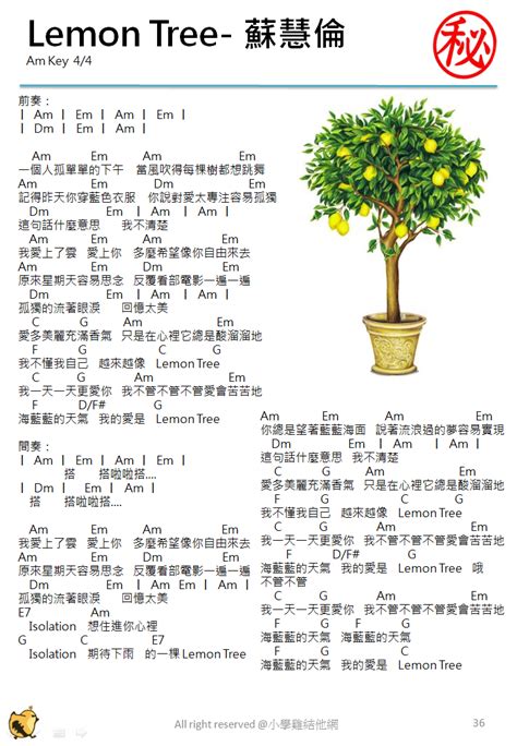 Lemon Tree 結他譜 Chord譜 結他教學 小學雞結他網