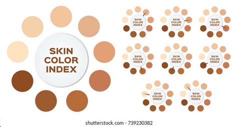 Skin Color Index Infographic Vector 3 Stock Vector Royalty Free