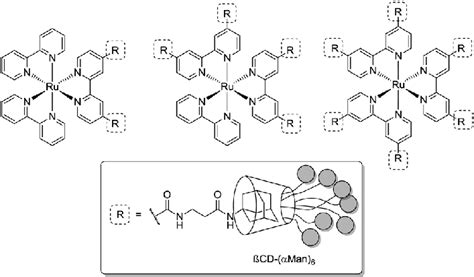 Fluorescent Mannosylated Dimeric Tetrameric And Hexameric Download Scientific Diagram