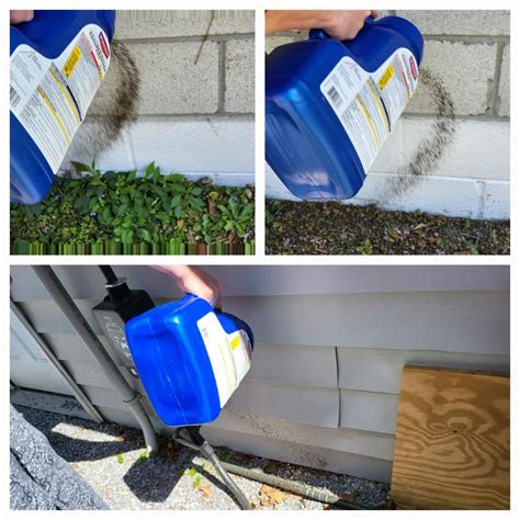 Bioadvanced Ready To Spread Termite Killer Granules 9 Lbs At Tractor