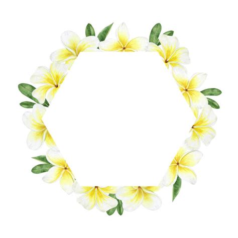 20 Hawaiian Flower Crown Stock Illustrations Royalty Free Vector
