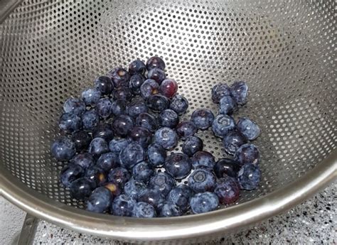 블루베리 요구르트 쉐이크