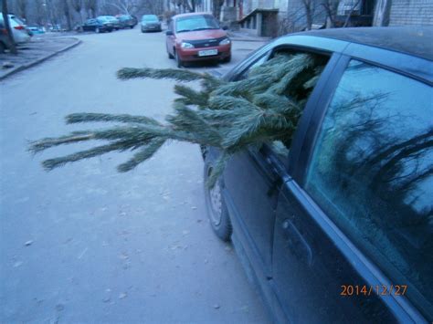 Ёлочка гори — Bmw 3 Series E36 2 5 л 1993 года просто так Drive2