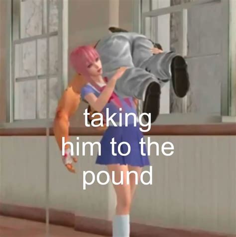 Meme Dump 682 Finger Zone Album On Imgur