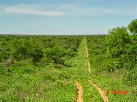 Top 5 Unexplored National Parks In Paraguay