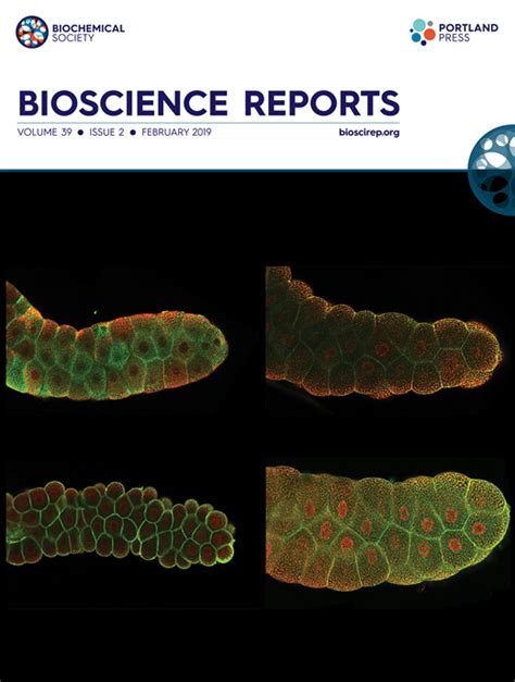 Computational Modeling Of Rna 3d Structure Based On Experimental Data