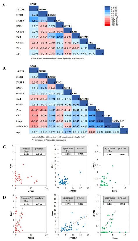 Spearman Correlation Between Tested Biomarkers And Clinical Parameters Download Scientific
