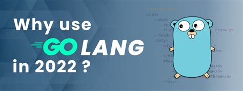 why use golang in 2022 netmaxims blog web and mobile development services and solutions