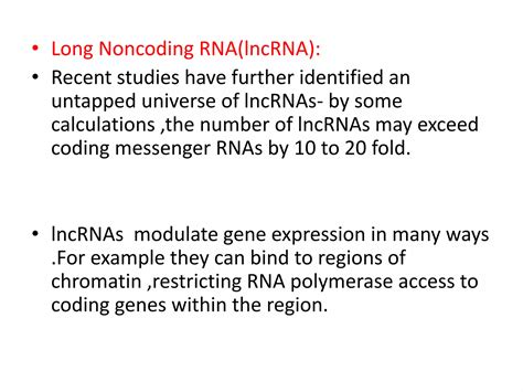 Mi Rna And Long Non Coding Rna Dr Abhinav Golla Associate Professor Lab Director