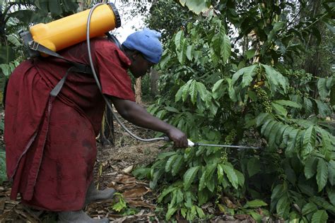 Strategies To Raise Agricultural Productivity Address Gender
