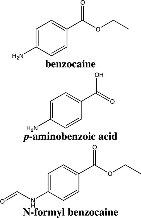 Structure Of Benzocaine And Its Primary Degradation Products