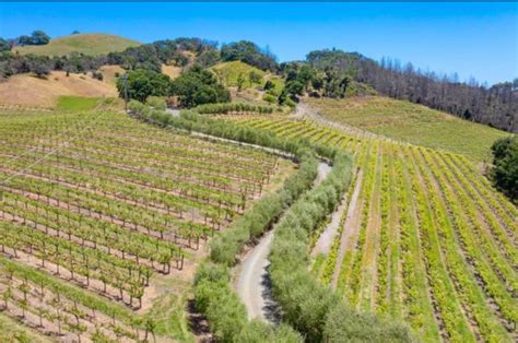 Santa Rosa Vineyard 🍇 Wineries And Vineyards For Sale
