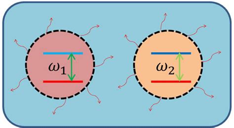 Schematic Of Two Qubit System Undergoing Dissipative Dynamics Via The Download Scientific