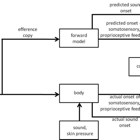 2 Internal Forward Model Of Auditory Rhythm Prediction Download Scientific Diagram