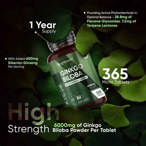 Ginkgo Biloba Tablets With Siberian Ginseng L 6600 Mg 365 Tablets