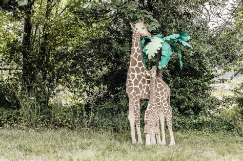 How To Make DIY Palm Trees She Holds Dearly