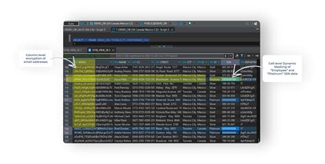 Data De Identification Secupi