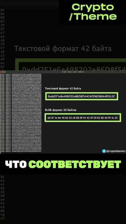 ОБНОВЛЕНИЕ БАЗЫ ДАННЫХ Shorts Crypto Bitcoin Youtube